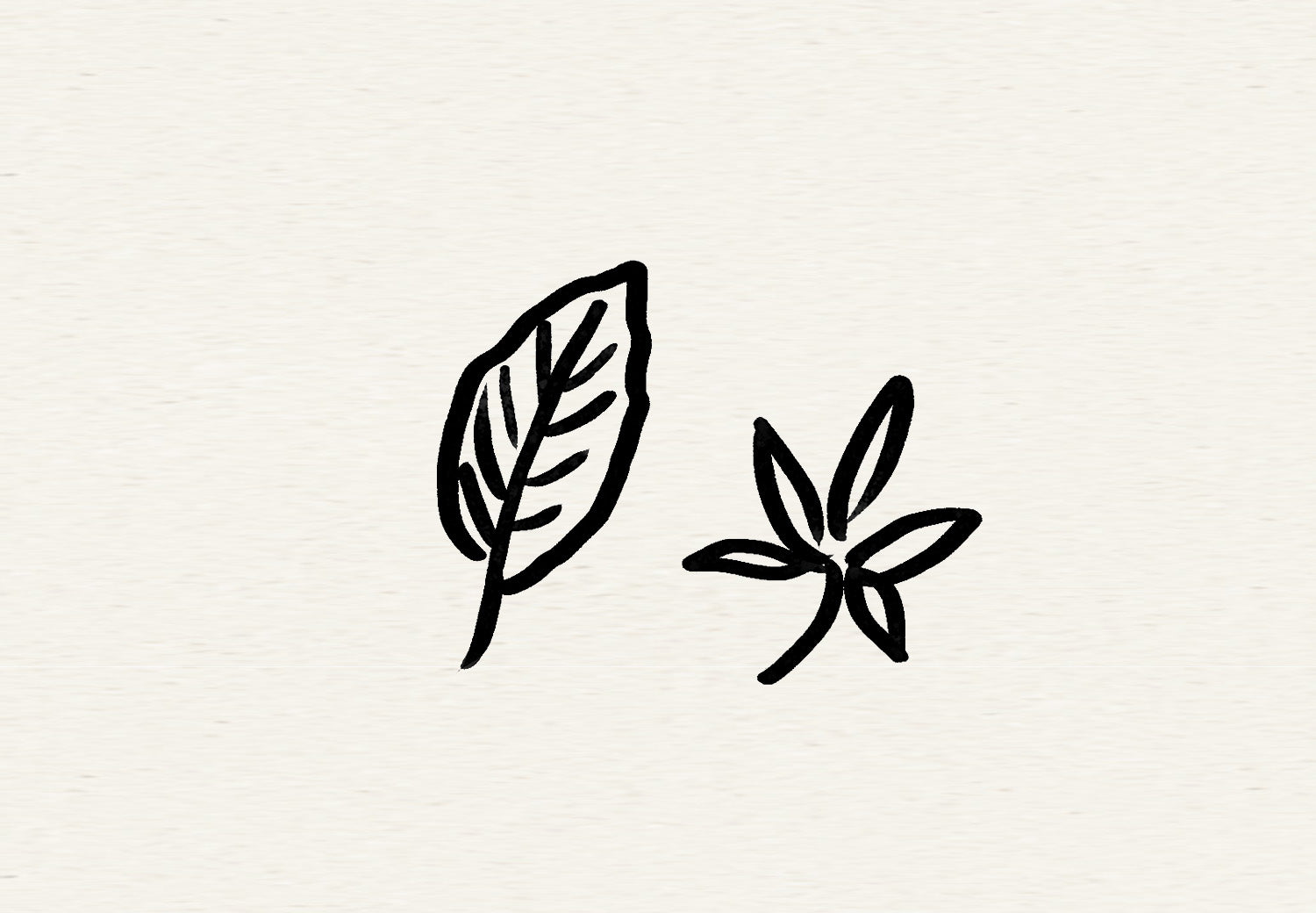 【Items】Upcoming Changes to Organic Matcha & Organic Sencha – Ippodo Tea ...
